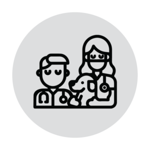 Best Vet Clinic in Western Sydney